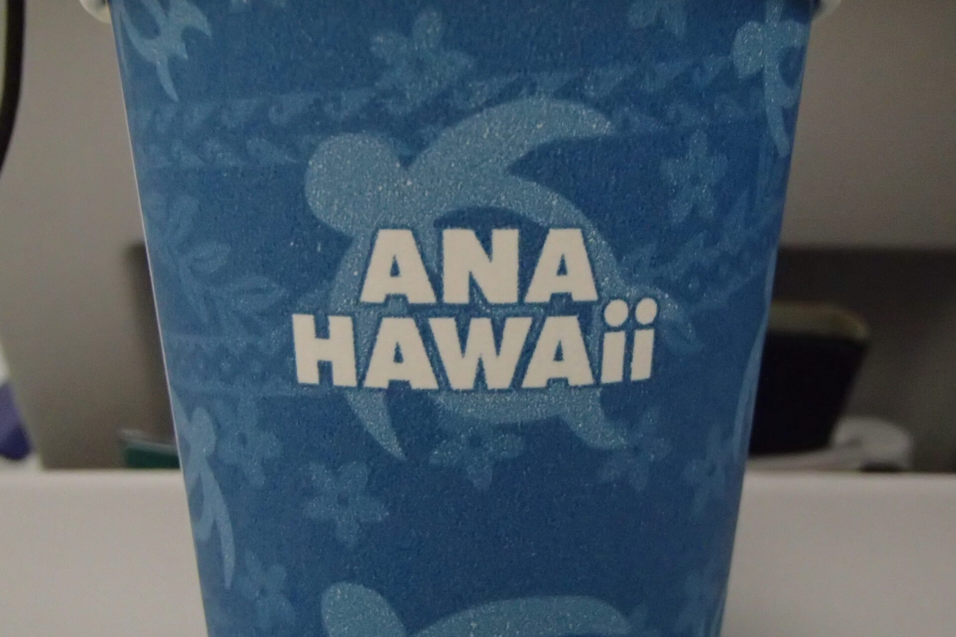 ANA New A380 from Tokyo/Narita to Honolulu”Flying honu” Economy class ...