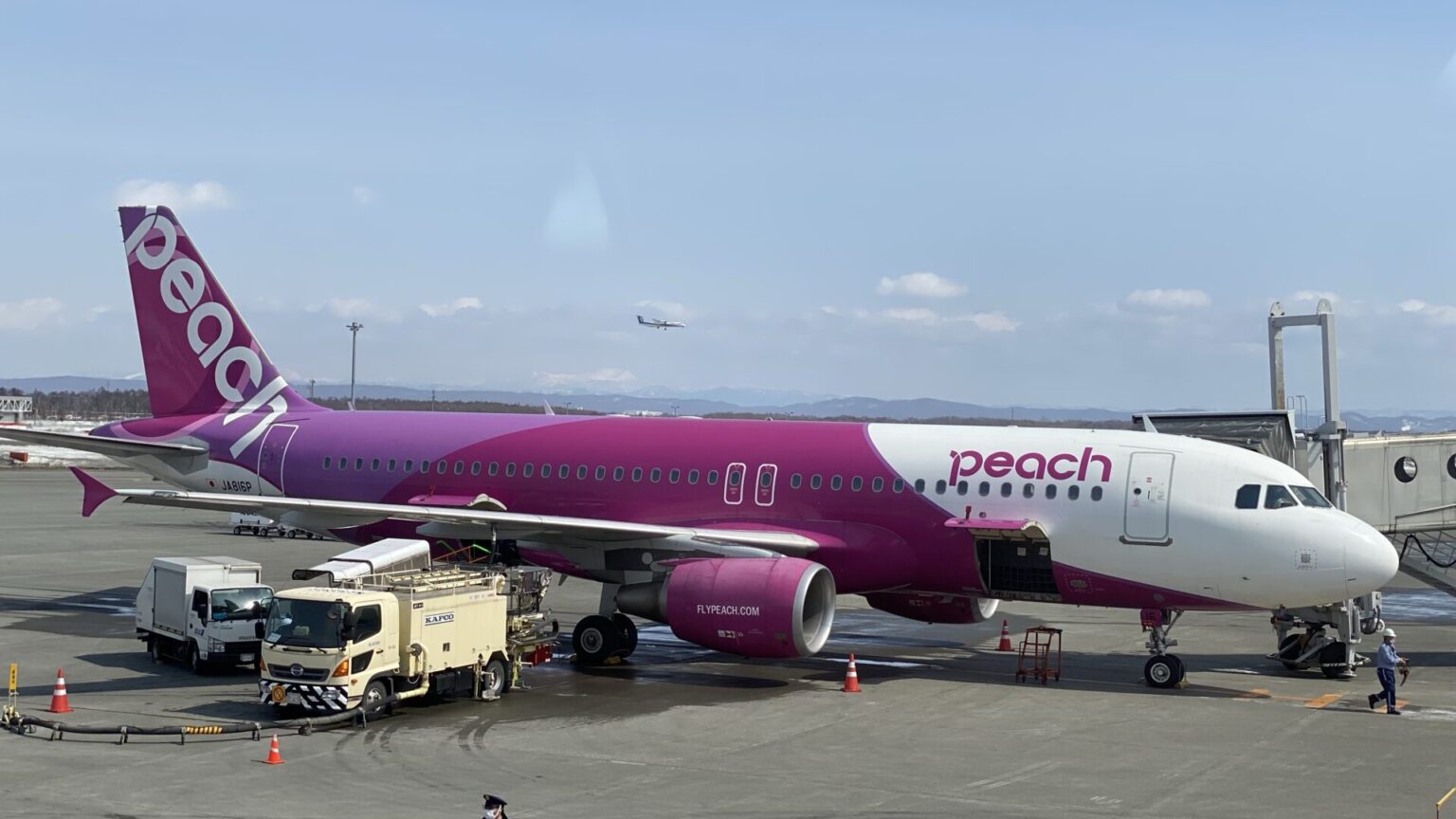 国内最大のLCC Peachの乗り方・A320の座席・手荷物の扱いなど徹底解説 | ドルフィン日記