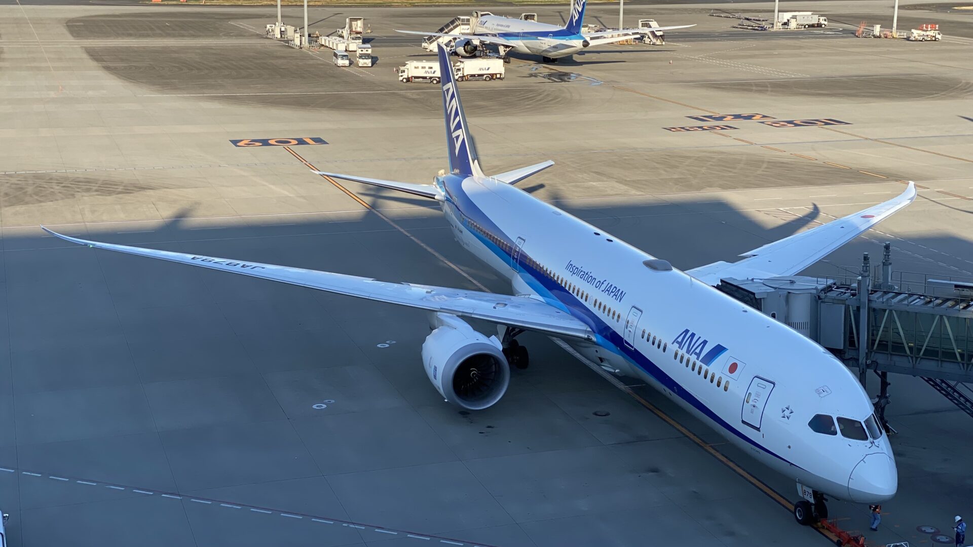 ANAのB787ビジネスクラス「スタッガードシート」を徹底解説 | ドルフィン日記