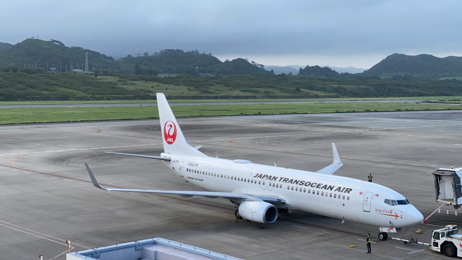 JAL/JTAのB737の機内・座席(JAL SKY NEXT)を紹介 日本各地を飛び回る機材 | ドルフィン日記