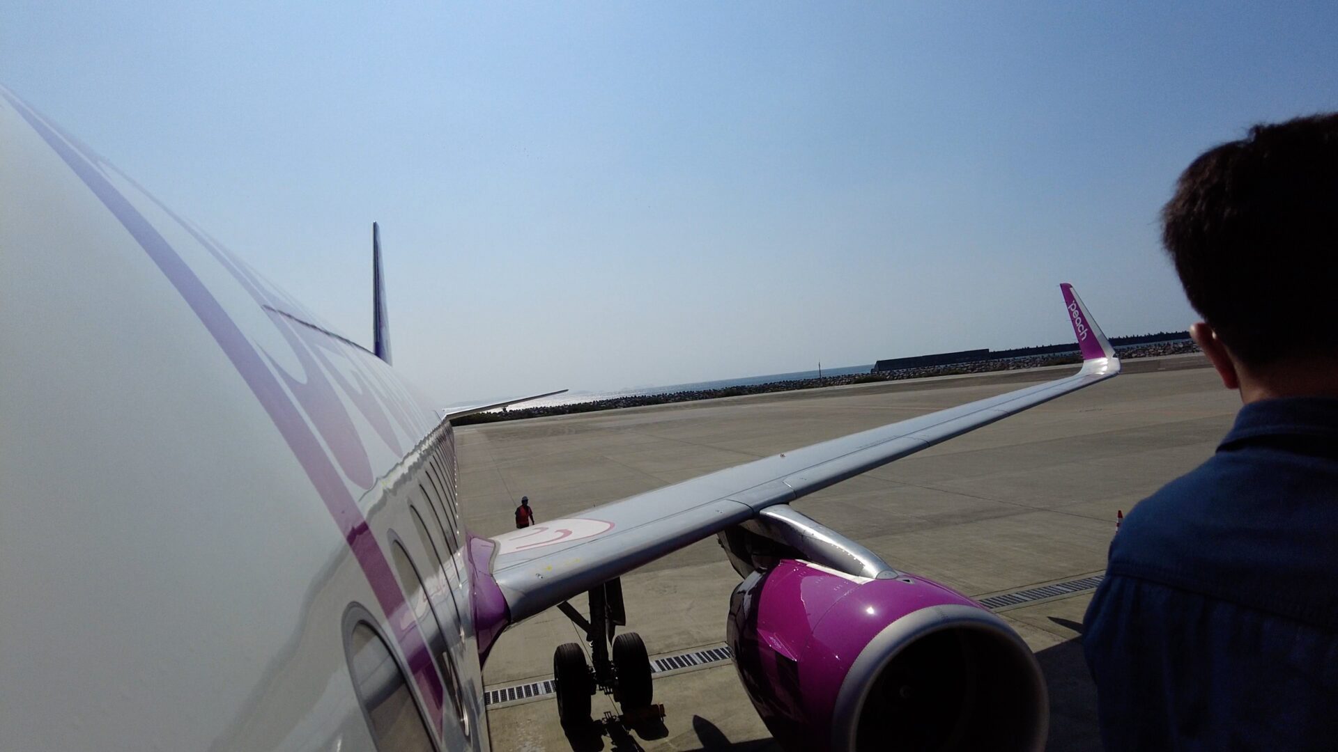 国内最大のLCC Peachの乗り方・A320の座席・手荷物の扱いなど徹底解説 | ドルフィン日記