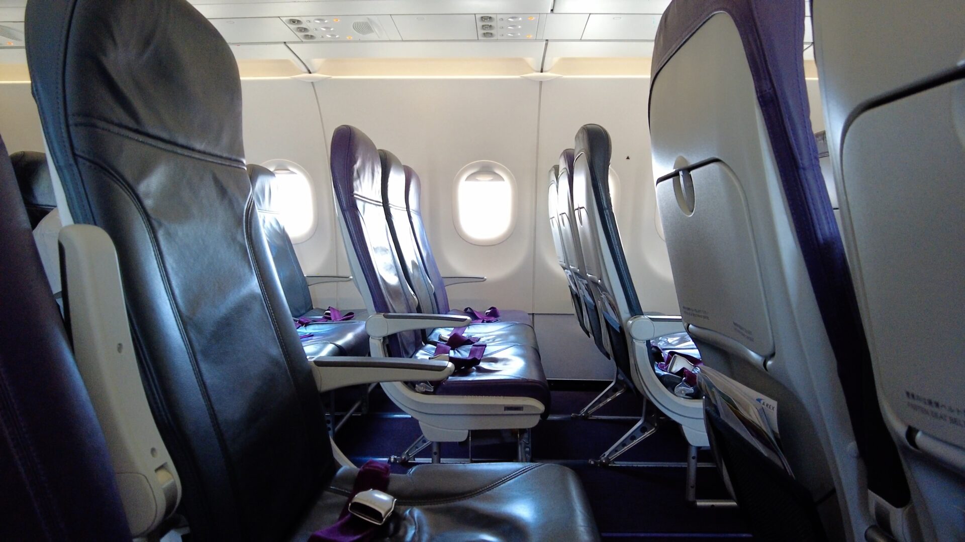 国内最大のLCC Peachの乗り方・A320の座席・手荷物の扱いなど徹底解説 | ドルフィン日記