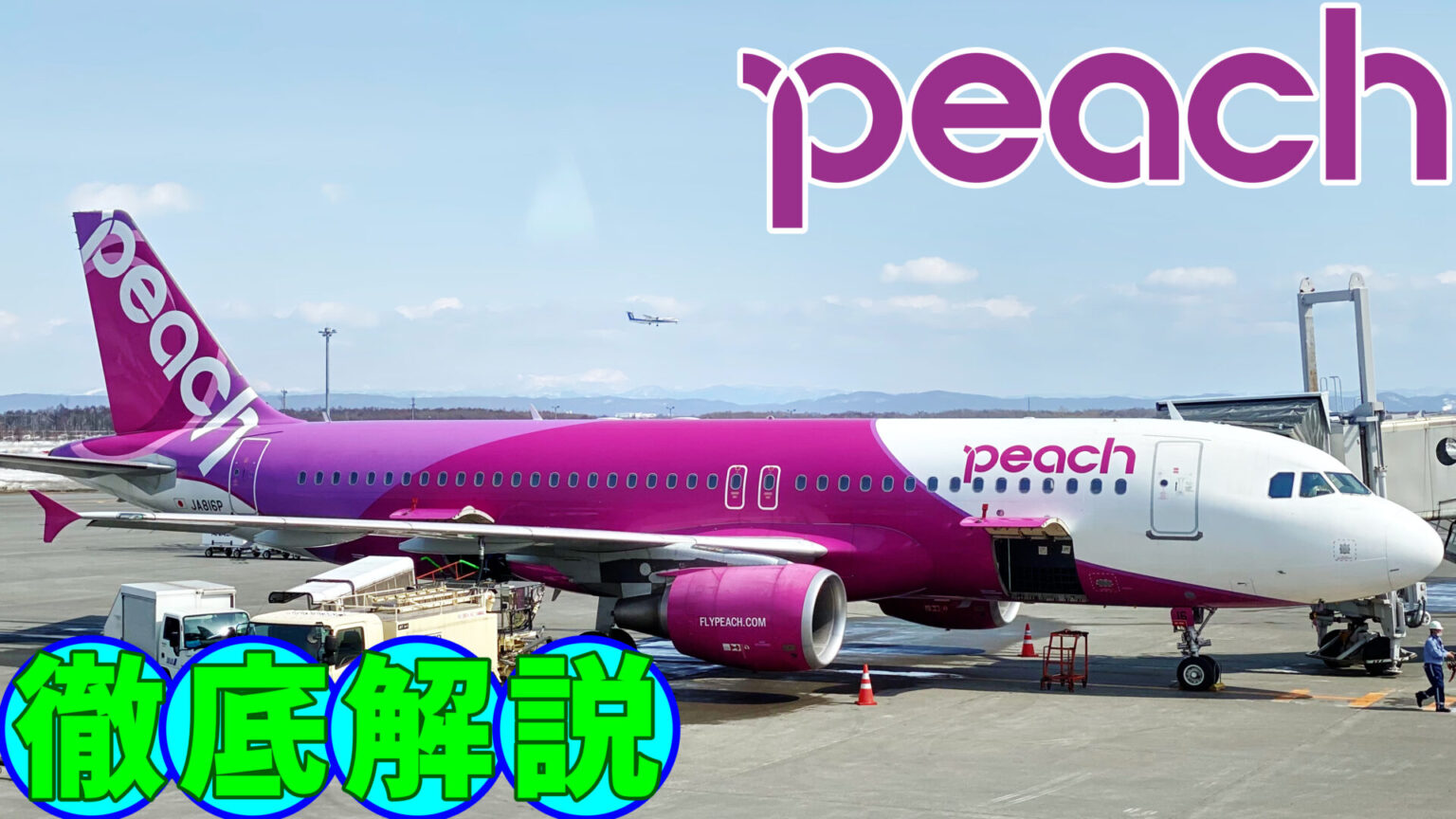 国内最大のLCC Peachの乗り方・A320の座席・手荷物の扱いなど徹底解説 | ドルフィン日記