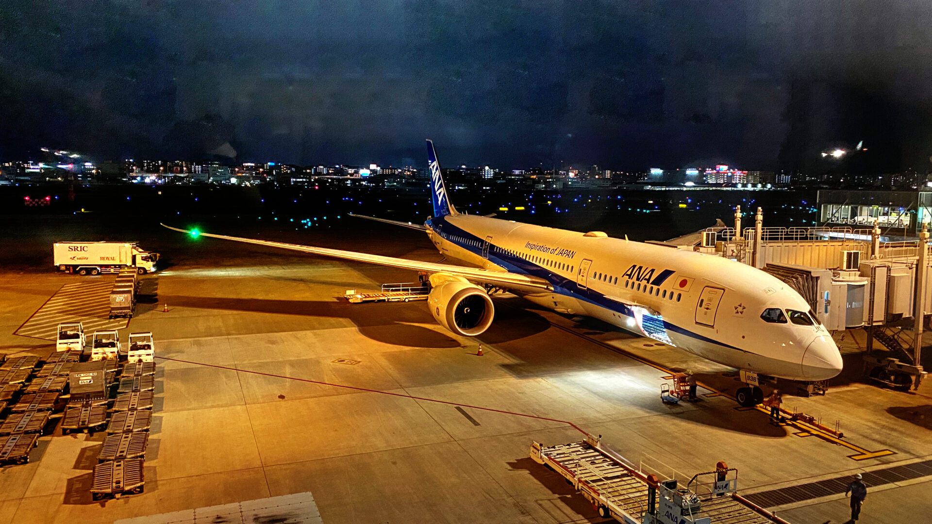 ANA国内線 新仕様B787-9(78G) コンセント完備・シートモニター完備で快適な普通席・プレミアムクラス | ドルフィン日記
