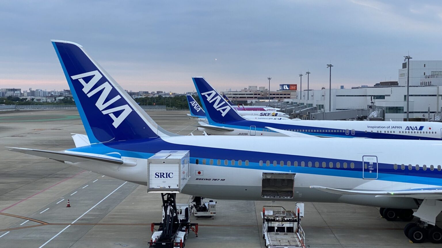 ANAの国内線向けB787-10[78K]の運航路線や機内・座席の様子を詳しく紹介 | ドルフィン日記